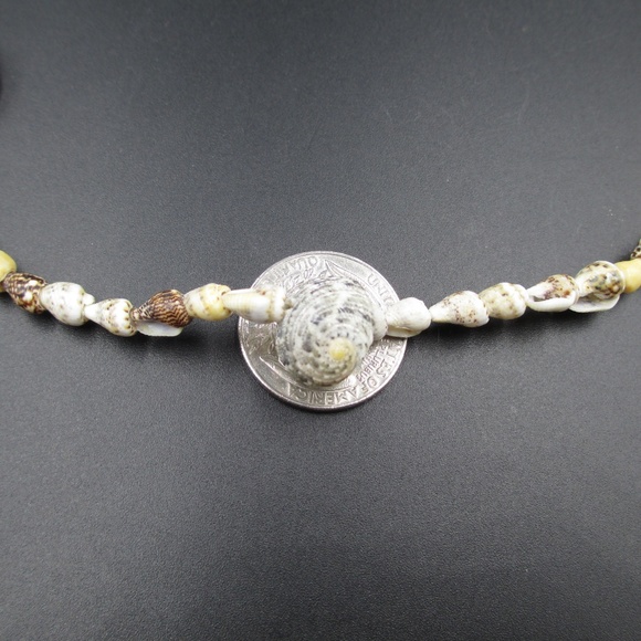 Jewelry | Vintage Sea Shell Long Necklace | Poshmark